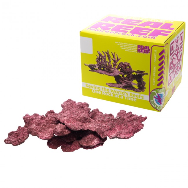 Real Reef Rock Plate Coral