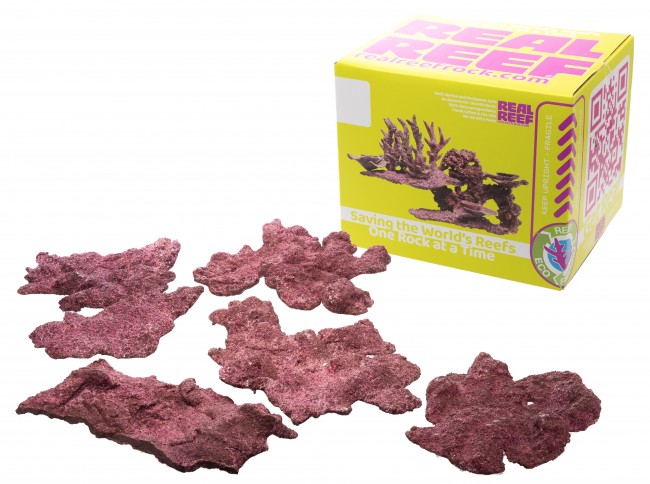 Real Reef Rock Plate Coral